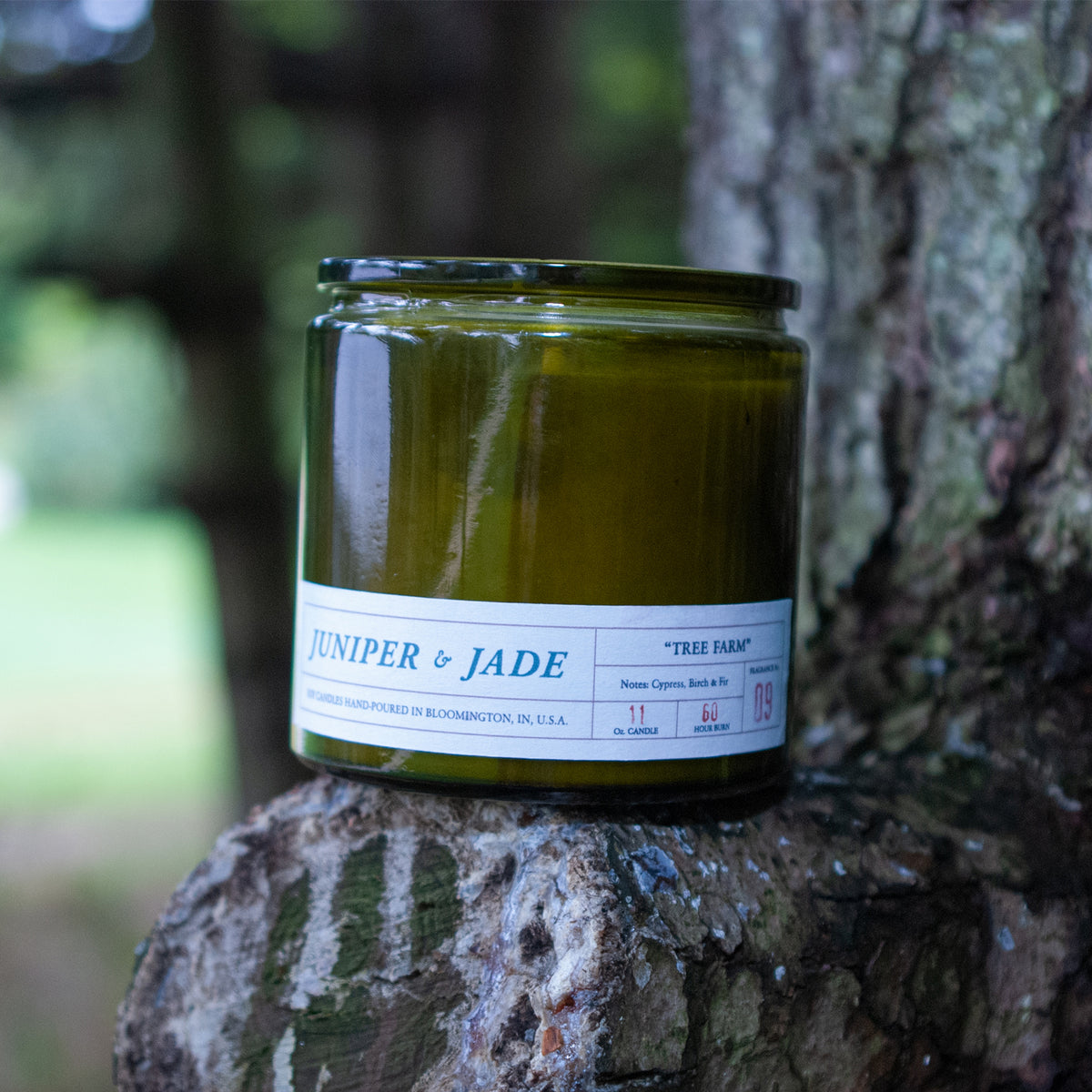 Tree Farm – Juniper and Jade Co